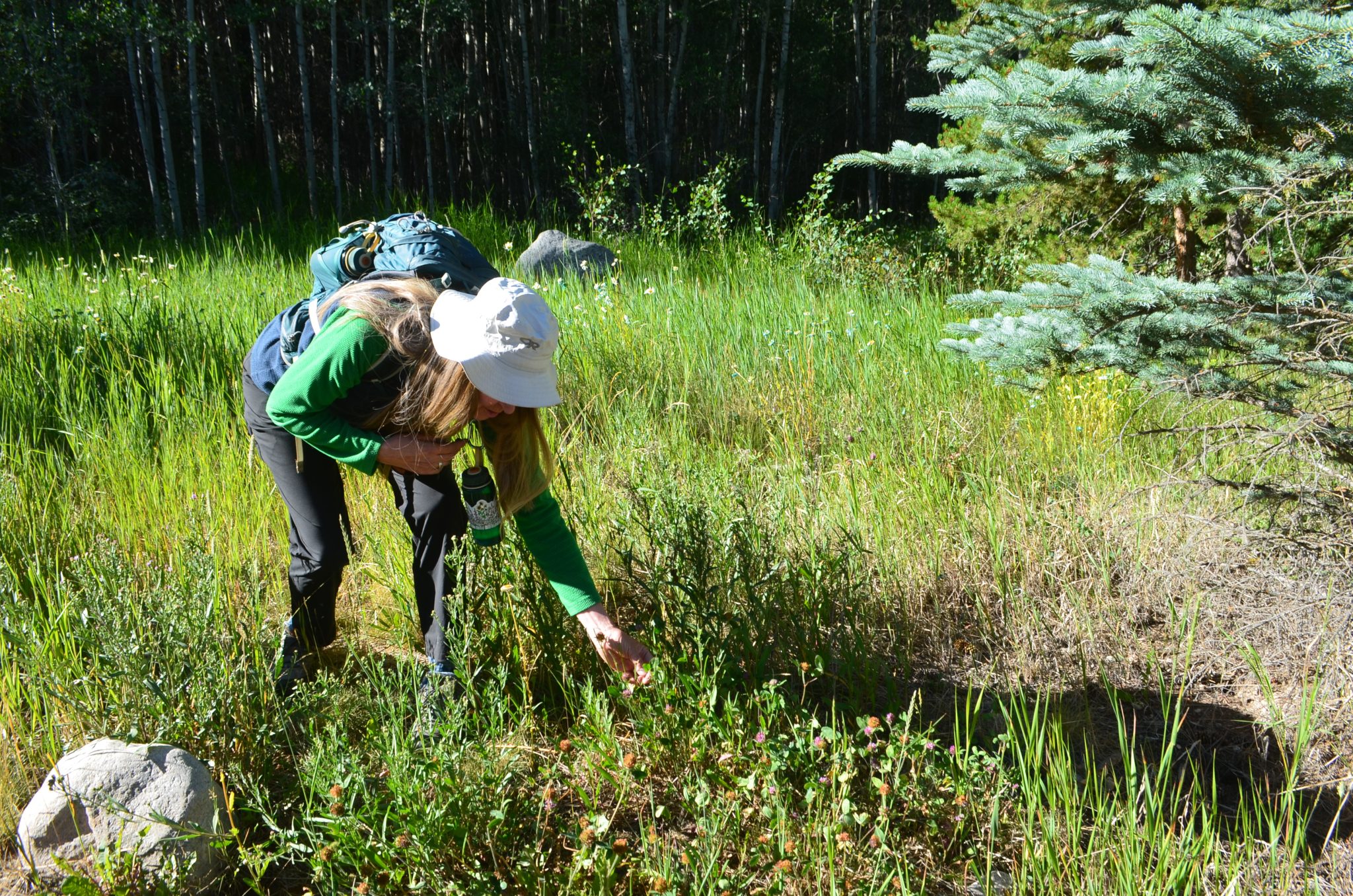 Rocky Mountain Conservancy classes: Meet others, learn about the outdoors and get into nature ...