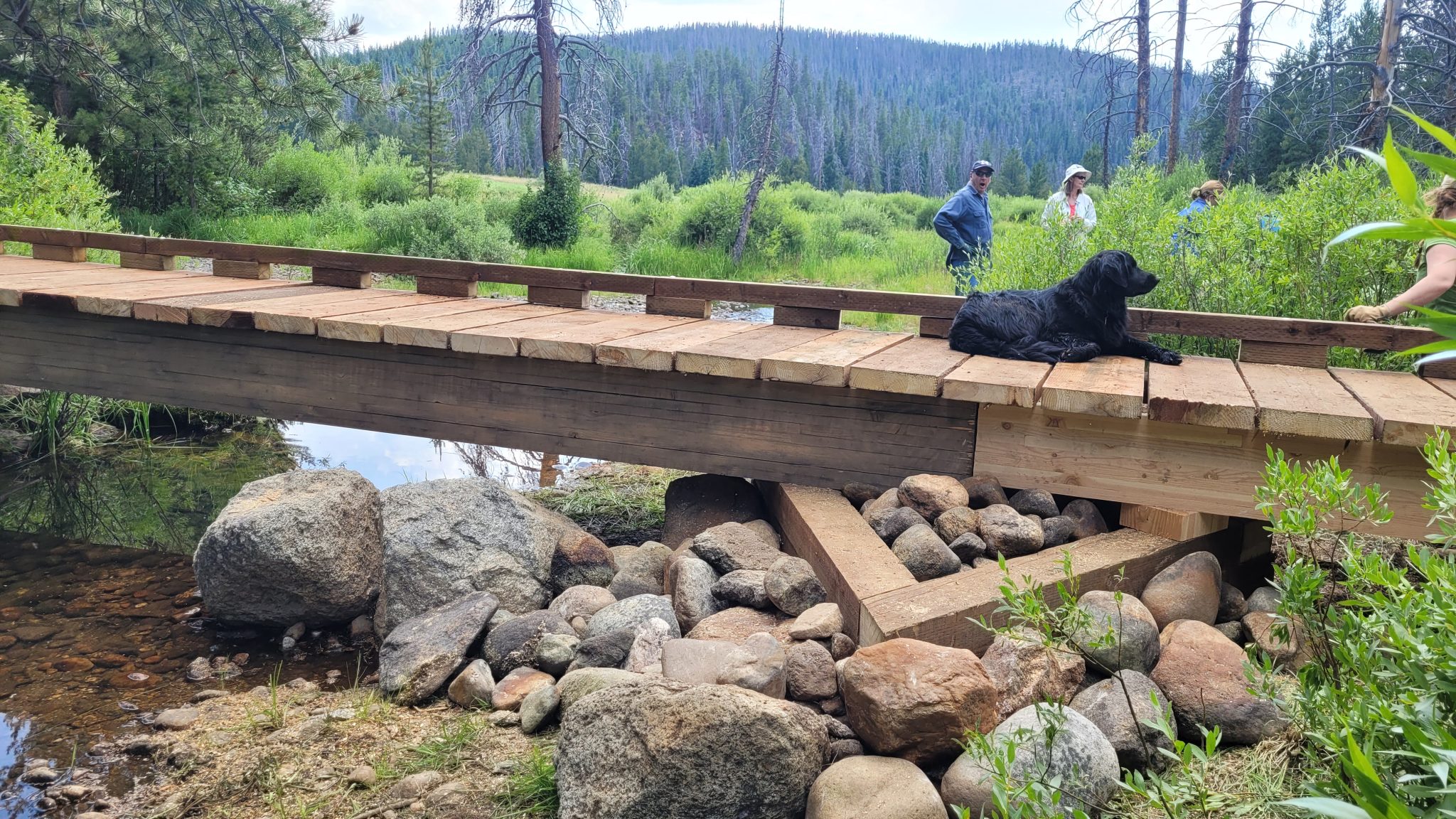PHOTOS: Headwaters Trails Alliance, volunteers make big improvements on ...