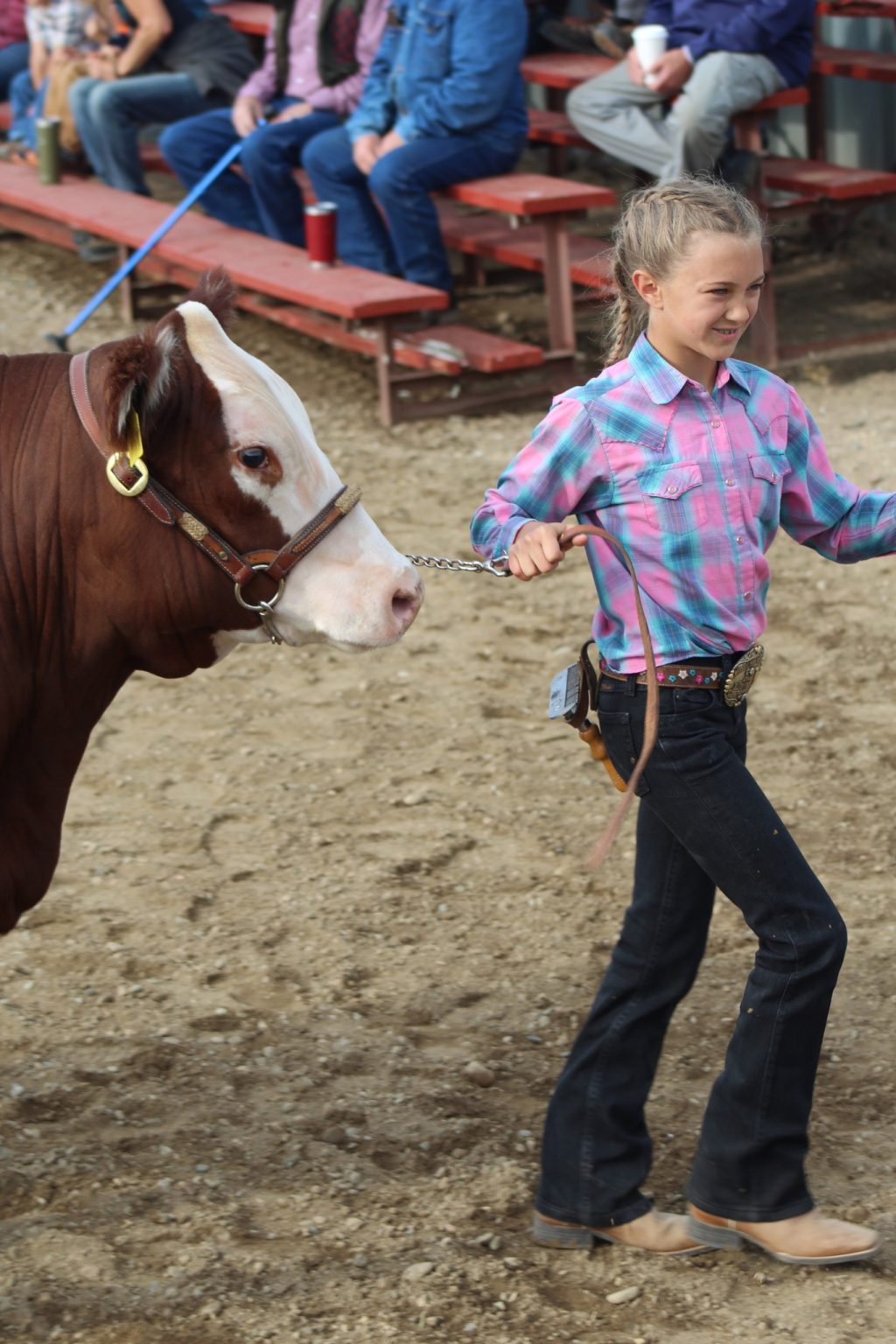 PHOTOS: Kids exhibit a variety of animals and talents at annual Middle ...