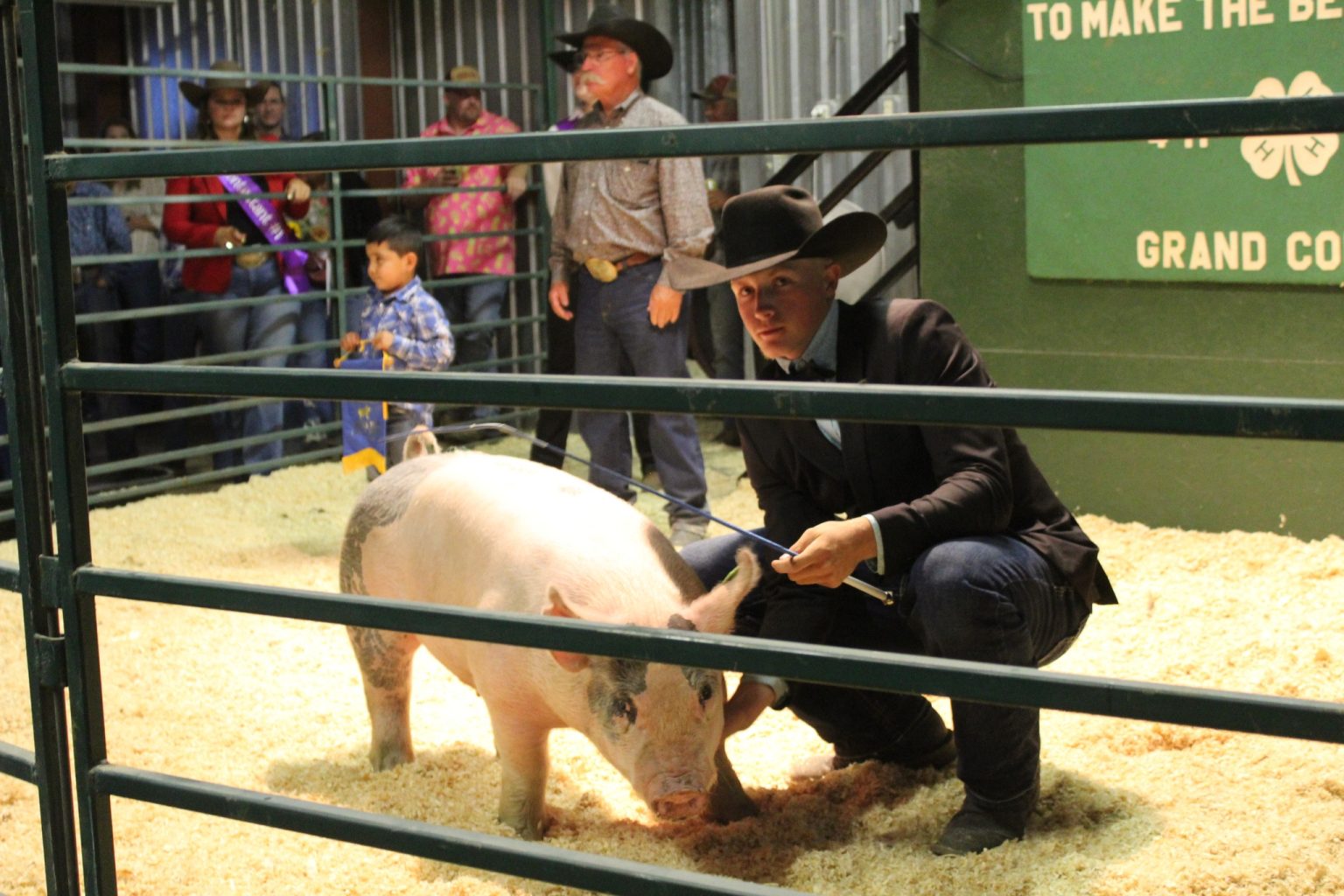 PHOTOS: Kids exhibit a variety of animals and talents at annual Middle ...