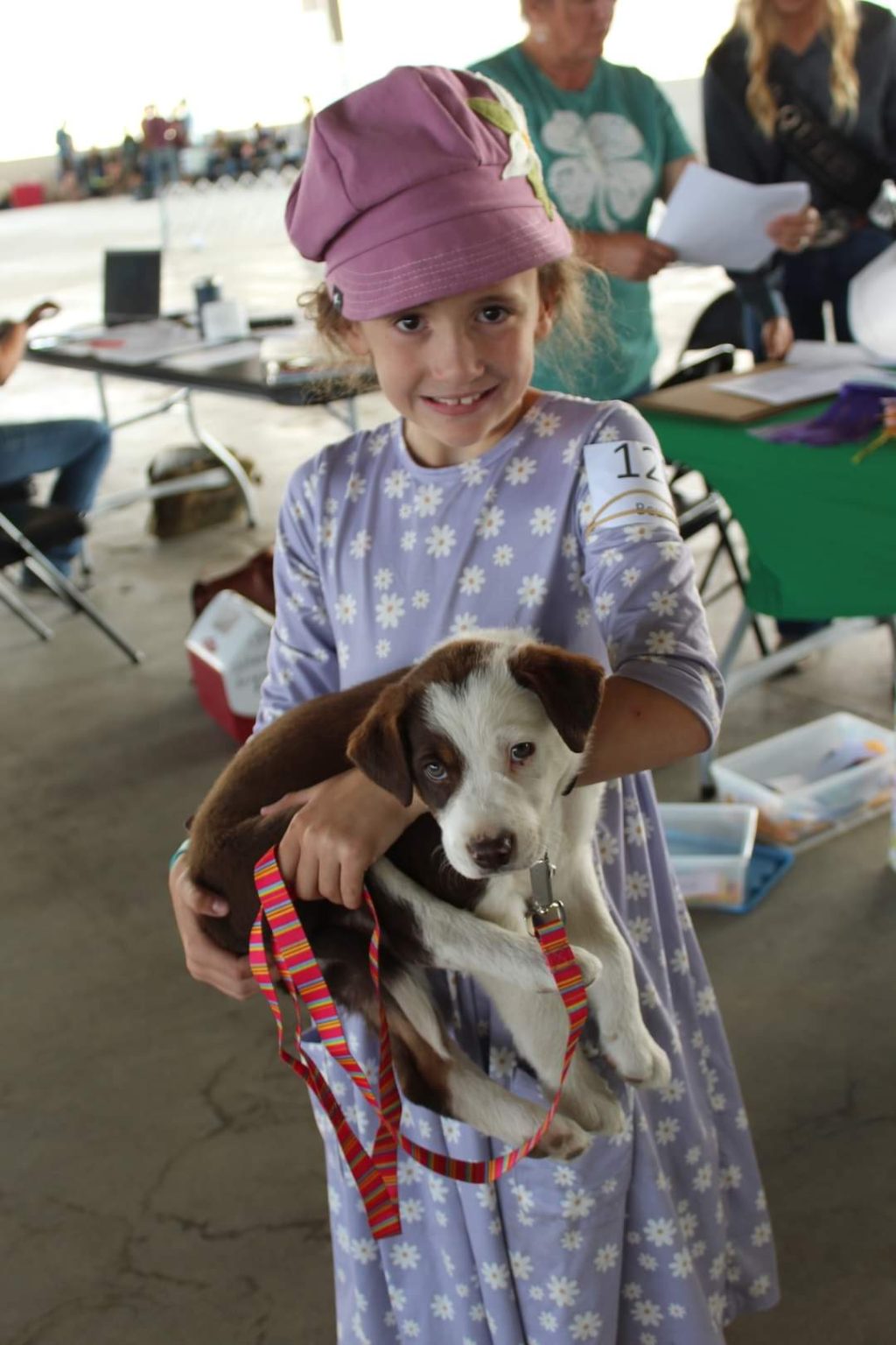 Middle Park Fair & Rodeo opens with 4-H dog show | SkyHiNews.com