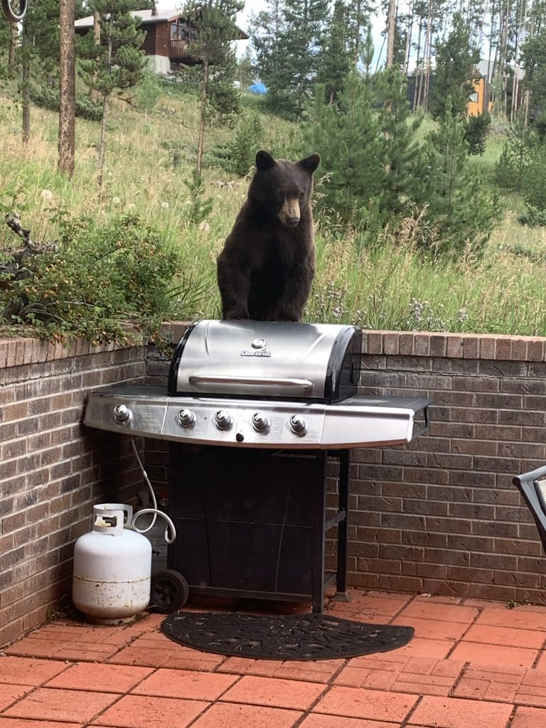Reader photo: A different kind of Bear Grylls | SkyHiNews.com
