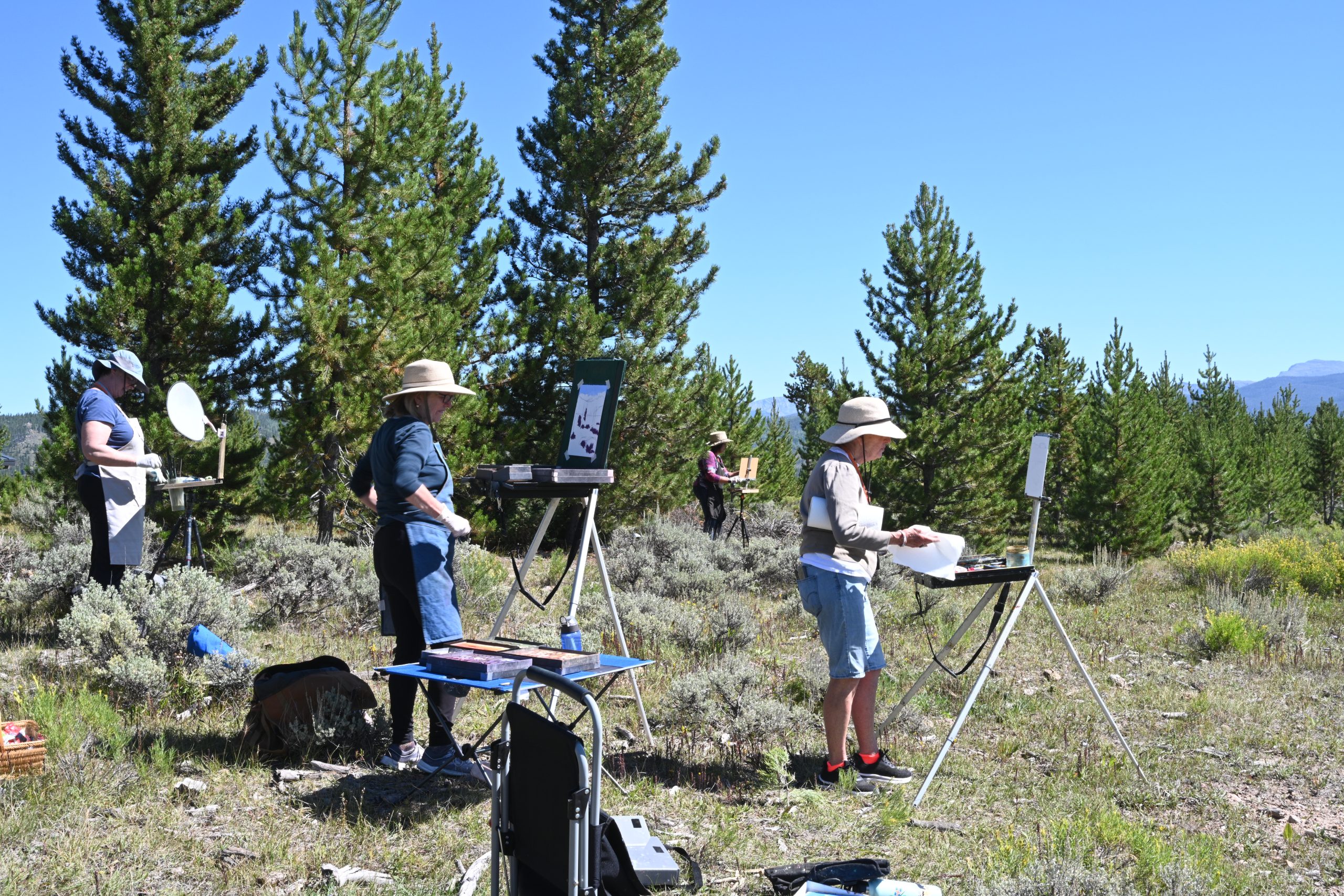 Plein Air @ Altitude event brings artists to capture serene scenes in ...