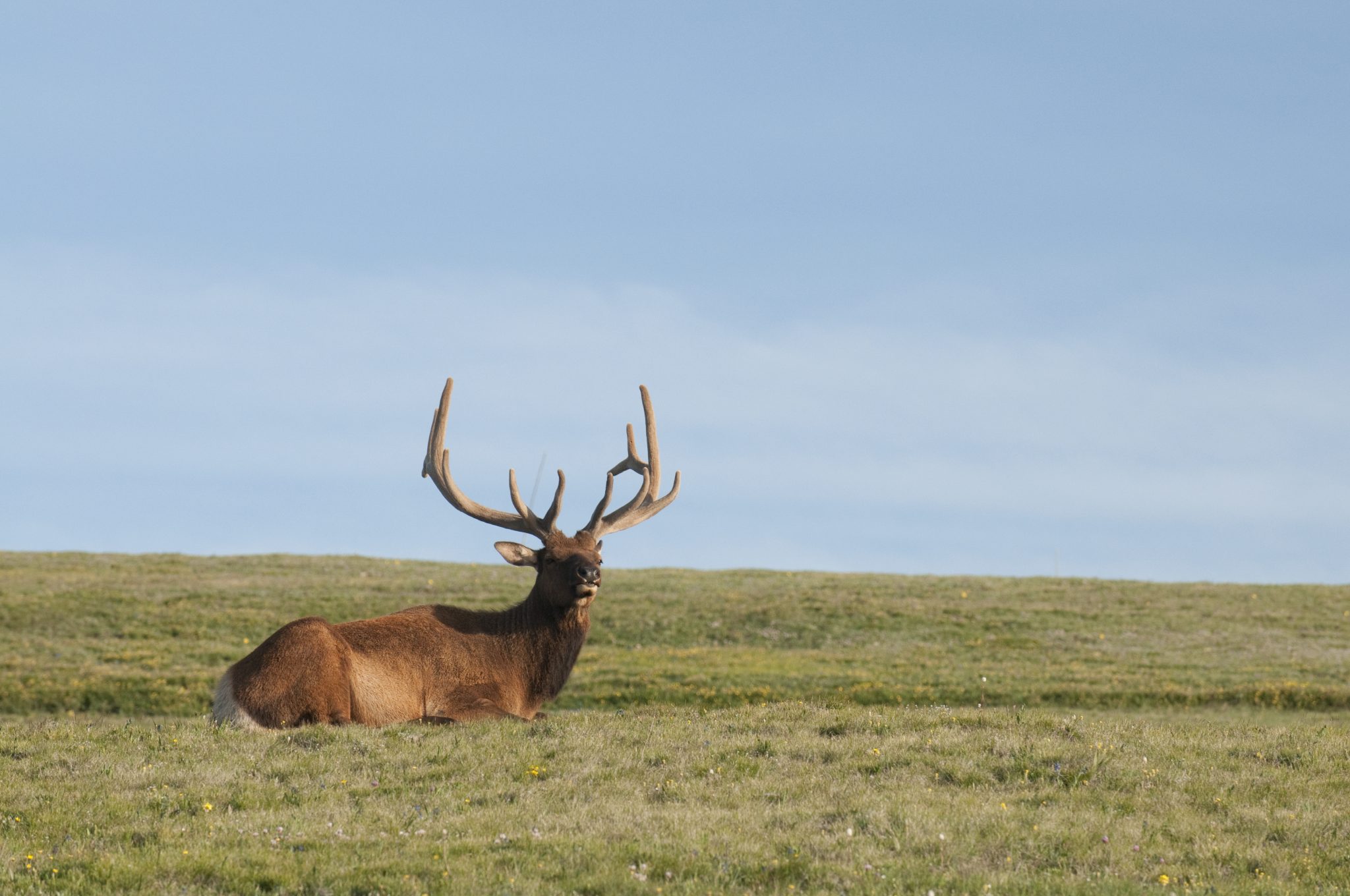 What is one of Colorado’s most ‘Instagrammable’ tourist attractions ...