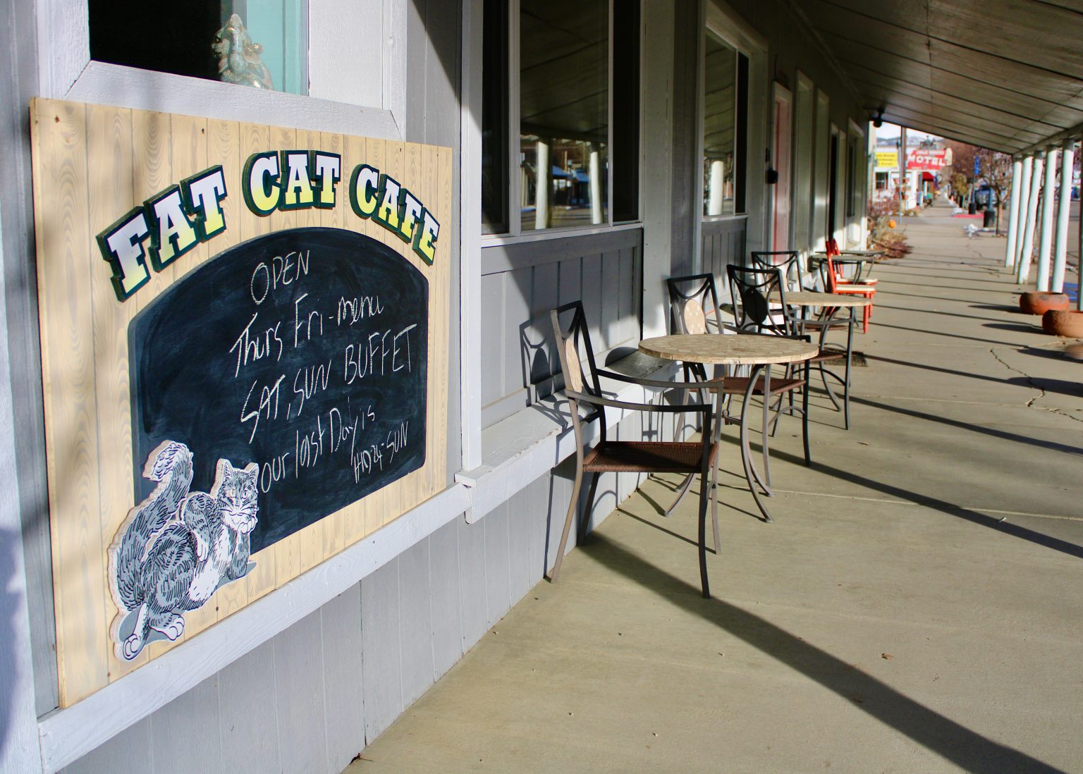 ‘It’s time for the cat to take a nap’: Fat Cat Cafe closes after nearly ...