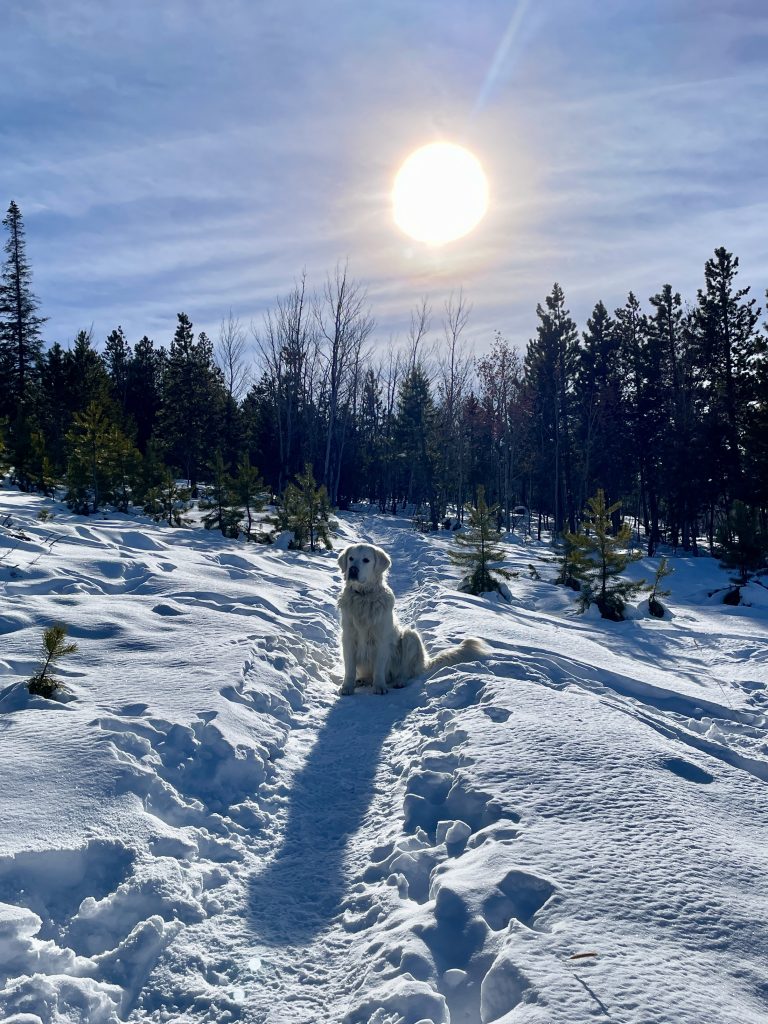 Reader photos: sunset, sundog and the full moon | SkyHiNews.com