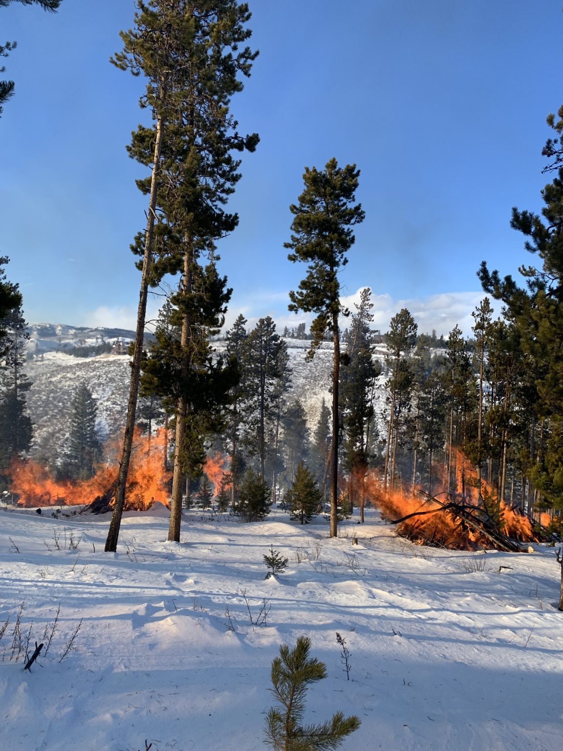 Grand County fire leaders issue call to action amid extreme drought ...