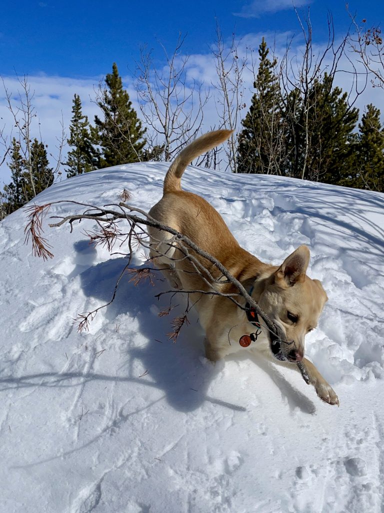 Reader photos: Snowy scenes from around Grand County | SkyHiNews.com