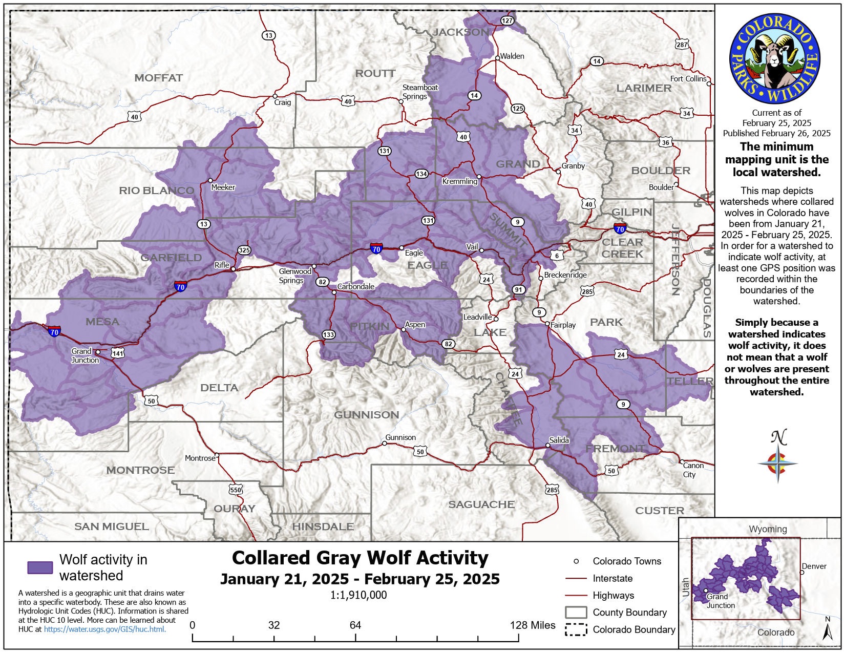 How rare are wolf sightings in Colorado? | SkyHiNews.com