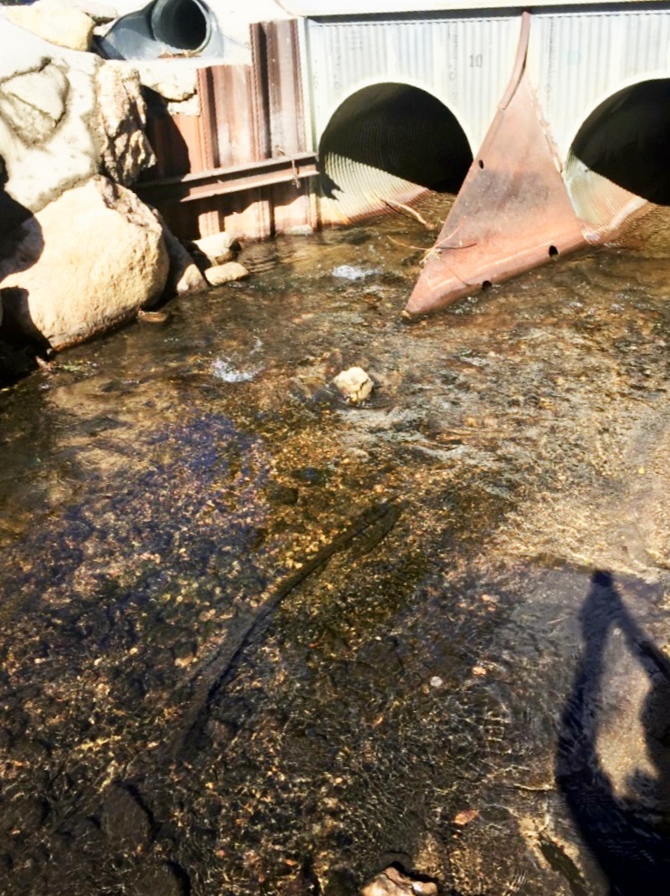 Polluted discharge from the Moffat Tunnel continues to be released into ...