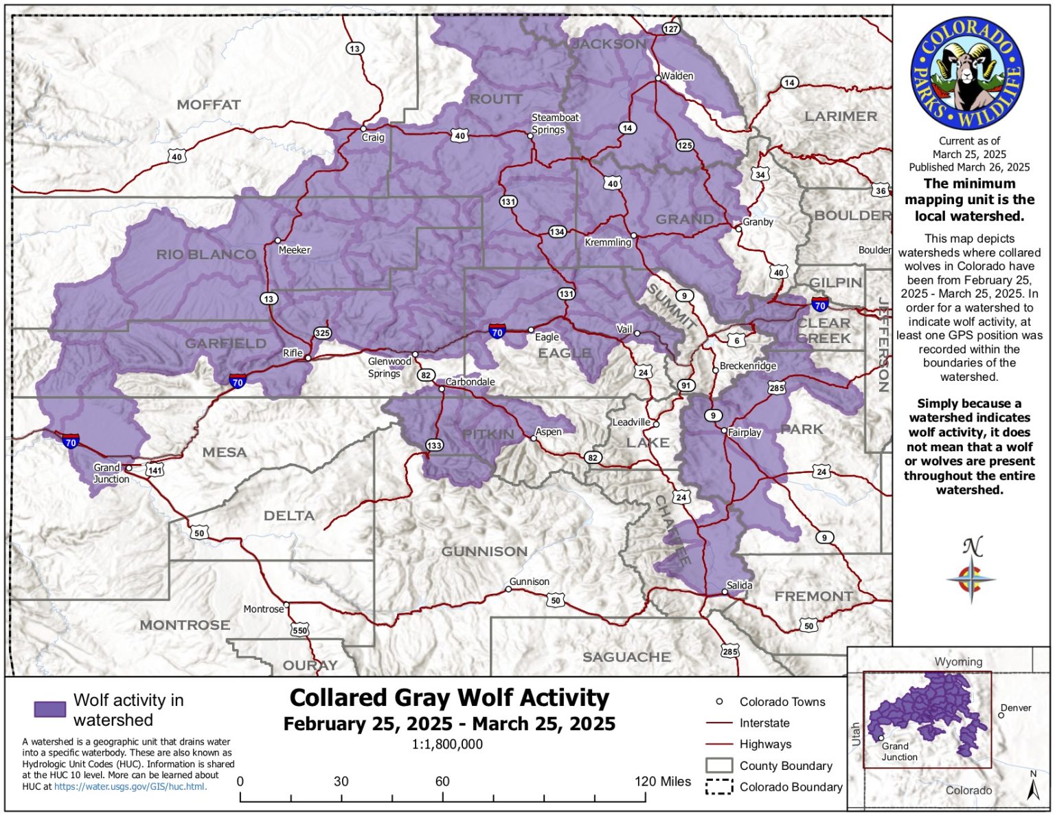 April wolf map shows one animal has traveled more than 1,200 miles ...