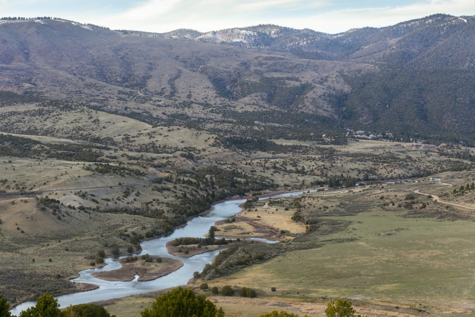Colorado Parks and Wildlife makes new zebra mussel veliger discovery ...