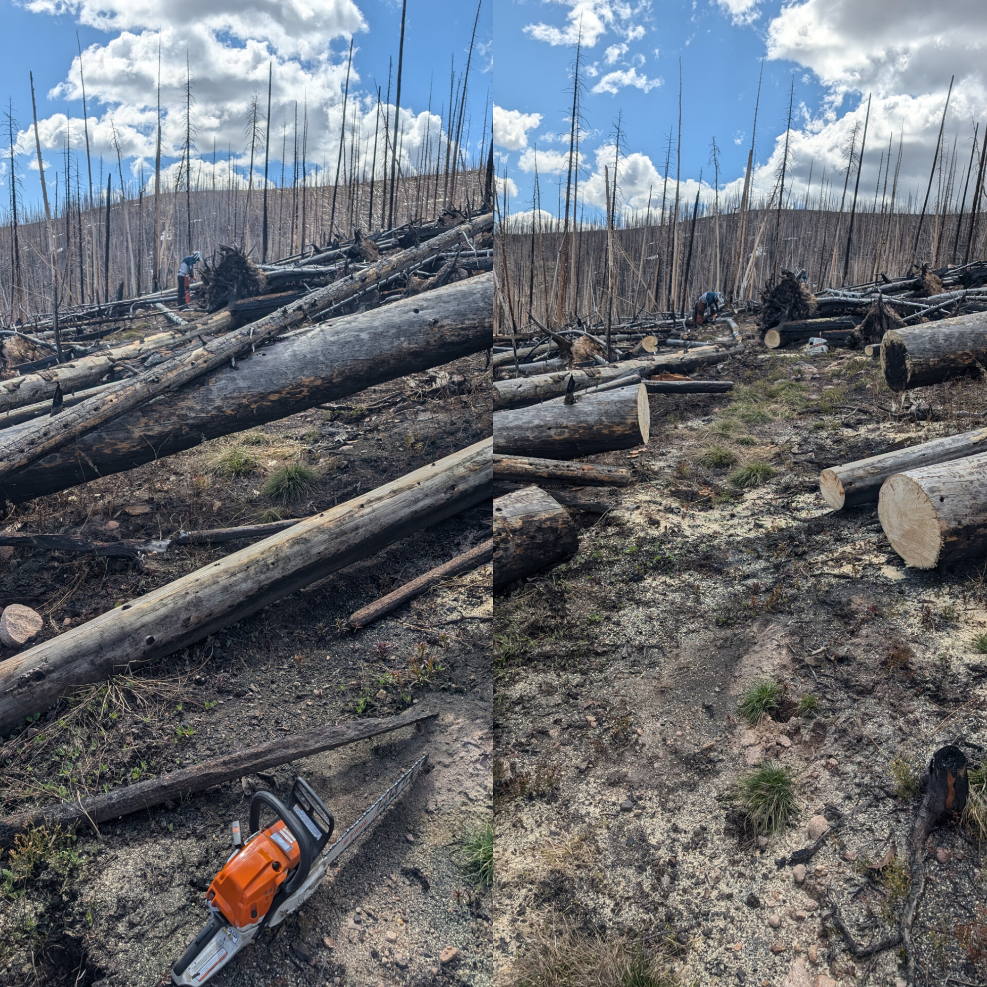 Trail closed by East Troublesome Fire since 2020 reopens thanks to ...