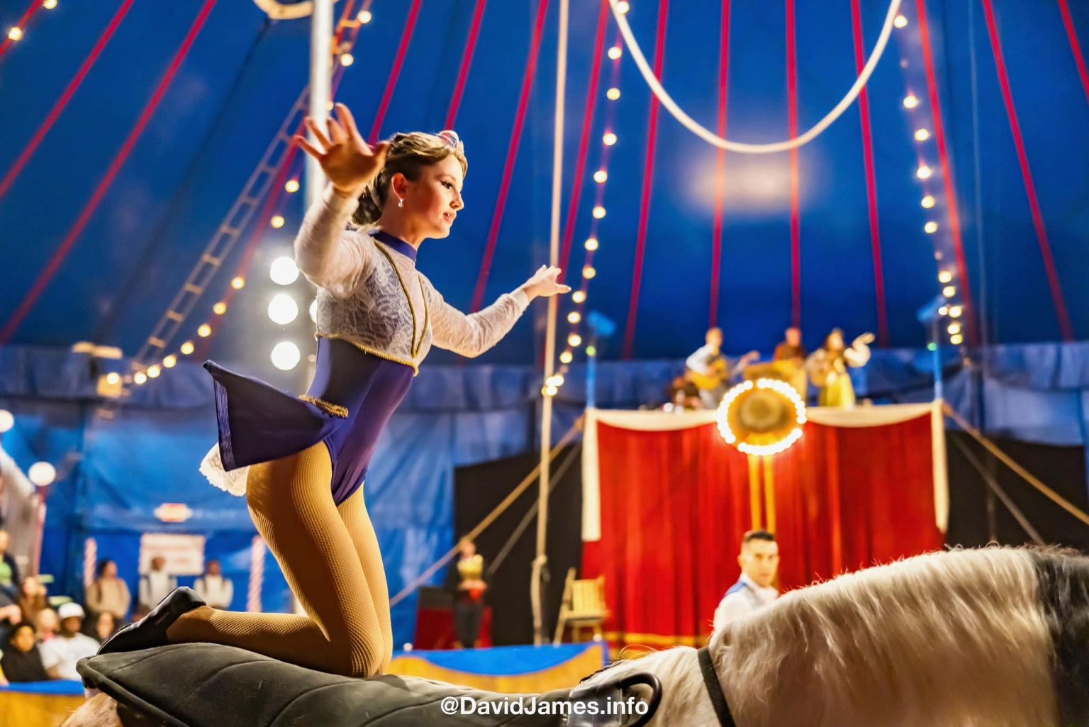 Zoppé Circus returns to Fraser Valley | SkyHiNews.com