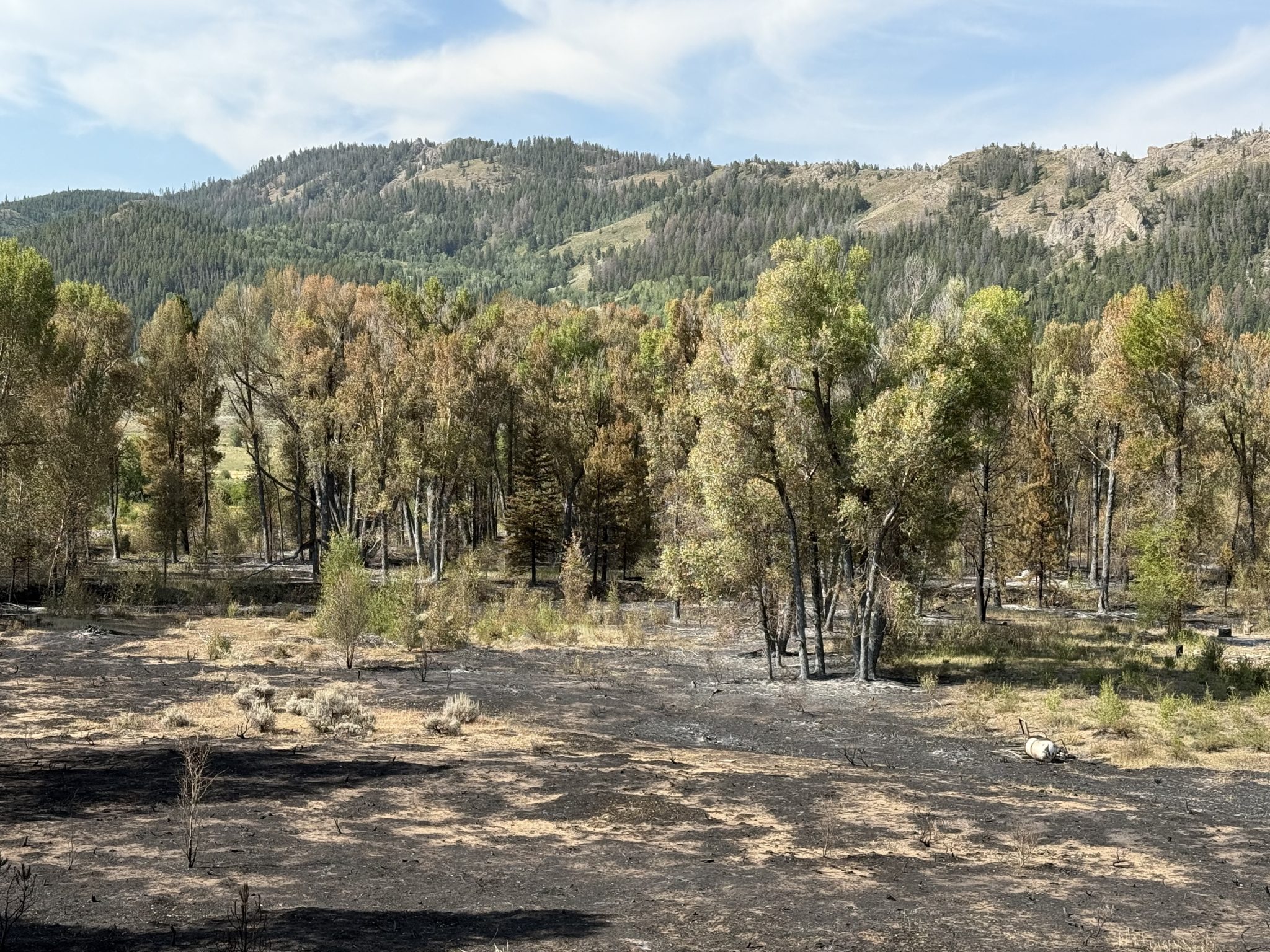 UPDATE: Windy Gap Fire now 100% contained | SkyHiNews.com