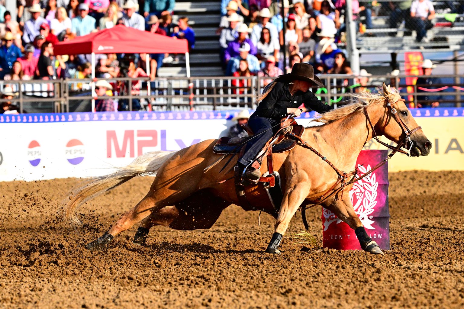 PHOTOS: 4 Grand County competitors earn top results at National High ...