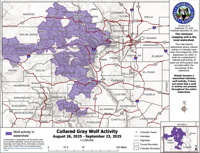 Colorado’s wolf map shows movement near Utah border — but officials won ...