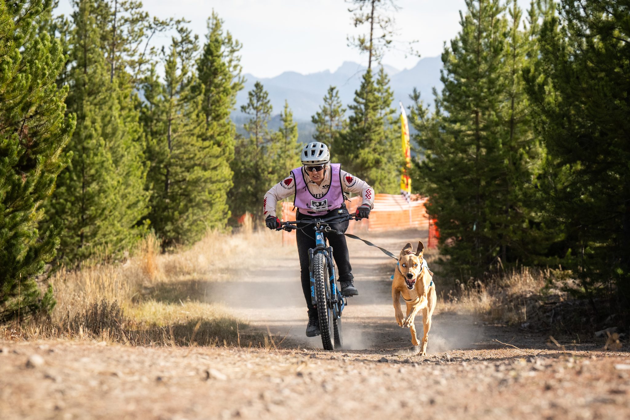 Grand County dog sled racer mushes to world championships | SkyHiNews.com