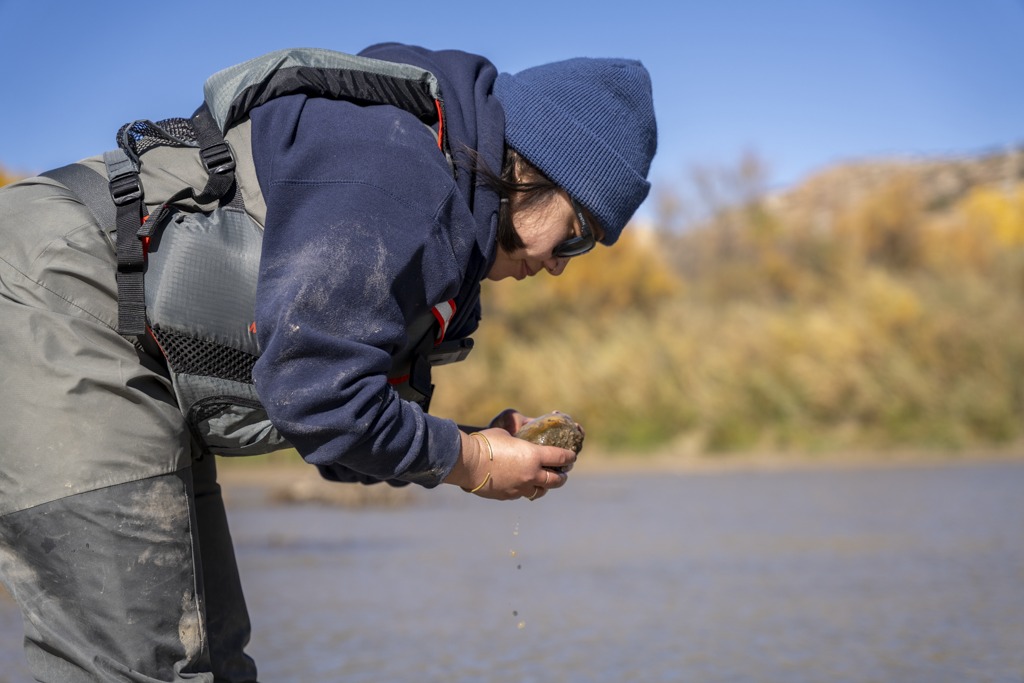 As zebra mussels spread throughout Colorado River, is removal out of ...