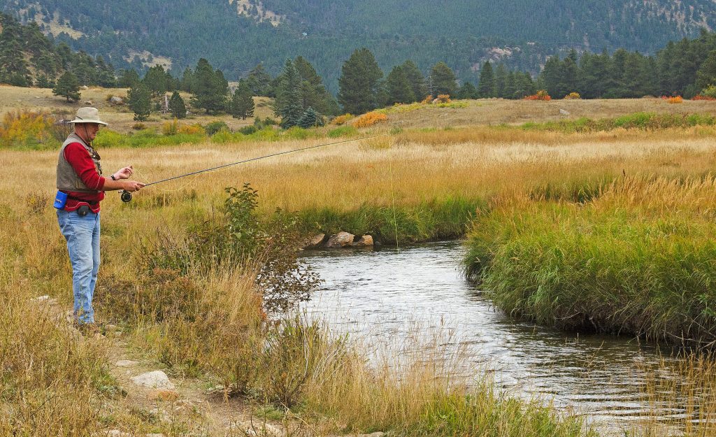 Decline of Rocky Mountain National Park’s wetlands is affecting ...