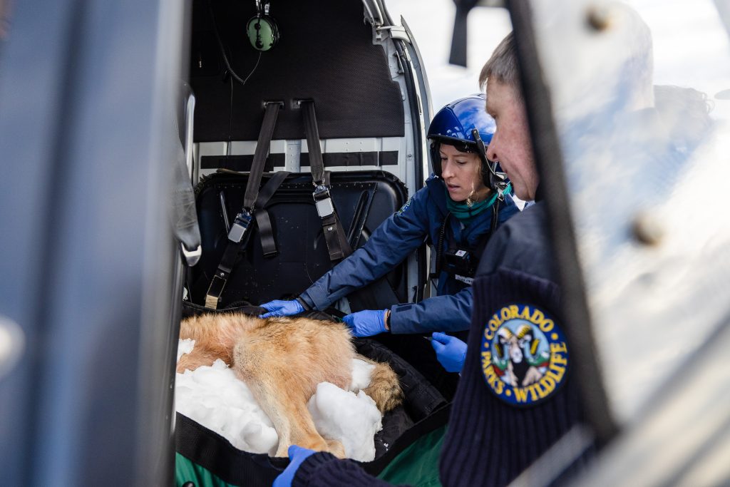 Navigating social challenges, political headwinds in the second year of ...