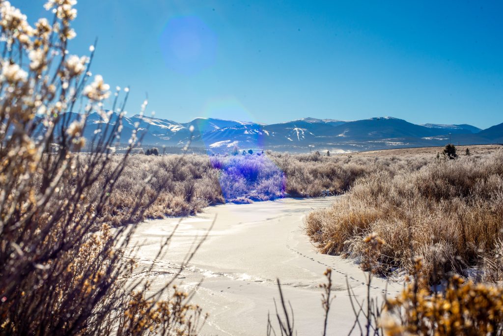 Fraser breweries push back against town’s wastewater regulation policy ...