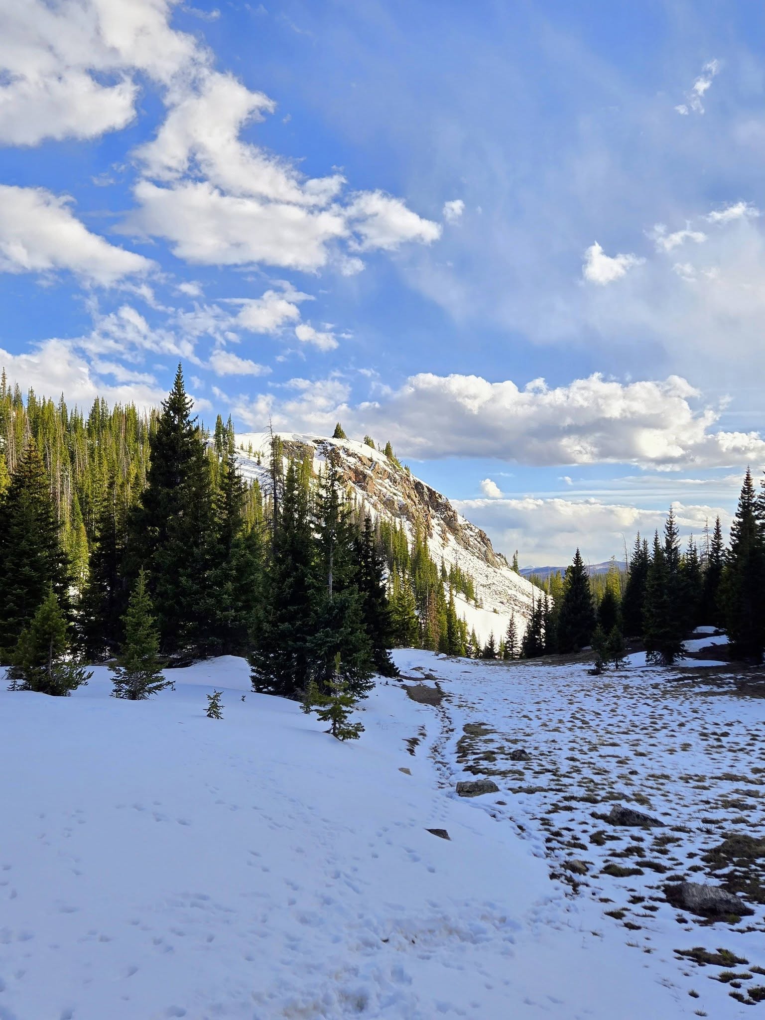 Trail Ridge Road open to Milner Pass from west entrance | SkyHiNews.com
