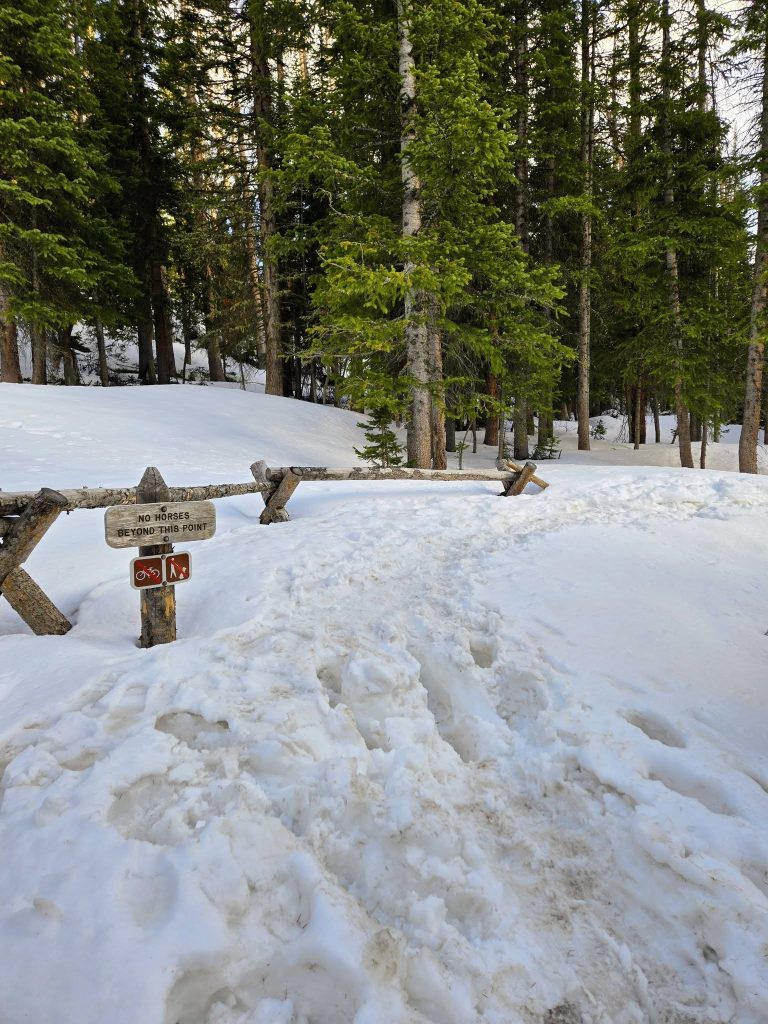 Trail Ridge Road open to Milner Pass from west entrance | SkyHiNews.com