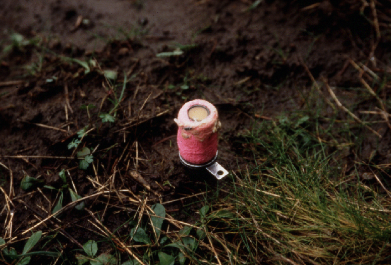 BLM, USDA restore use of controversial M-44 ‘cyanide bombs’ | SkyHiNews.com