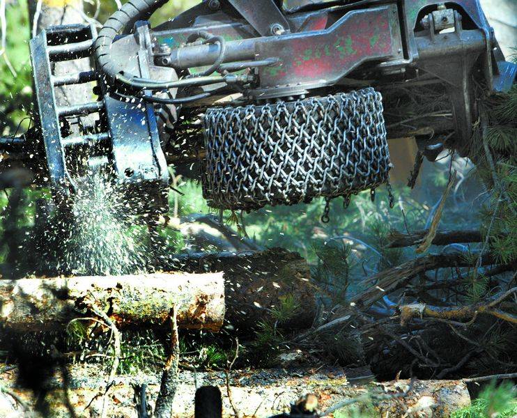 Forest Service tests stream fuel reduction | SierraSun.com
