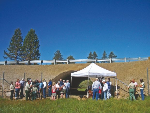 Animal crossing: Area officials commemorate underpass | SierraSun.com