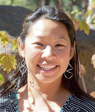 Election 2014: Wong, Leijon, Callicrate, Olmer move on for IVGID ...