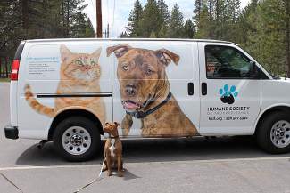 Truckee humane society gets new pet transport van | SierraSun.com