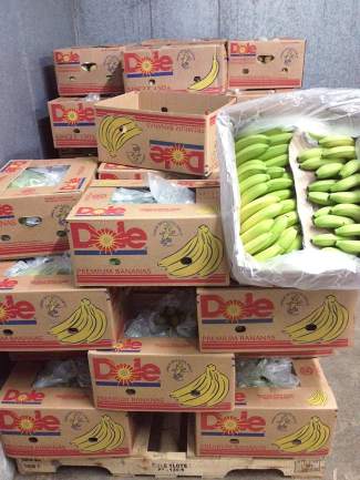 How a banana makes it from Central America to your Lake Tahoe grocer ...