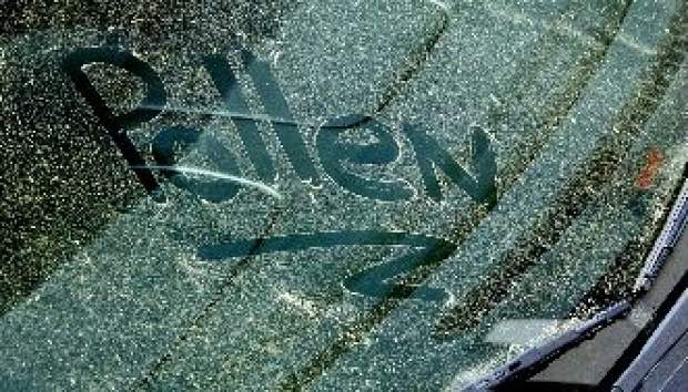 Wet winter points to higher spring pollen count in the Tahoe Basin ...