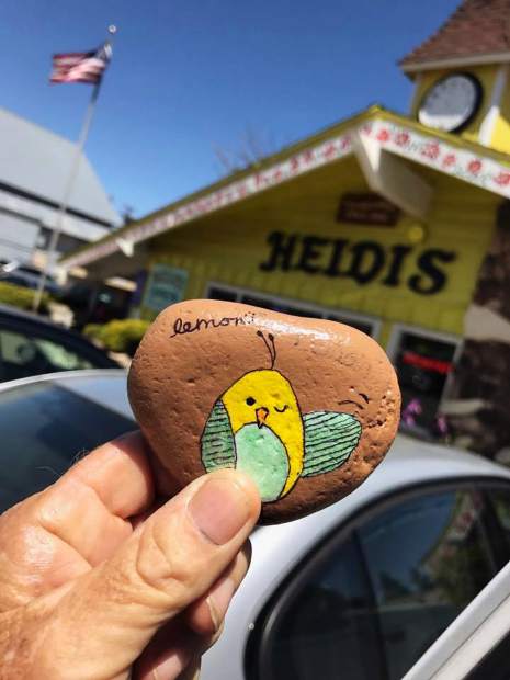 Hidden painted rocks the latest craze sweeping across the South Shore ...