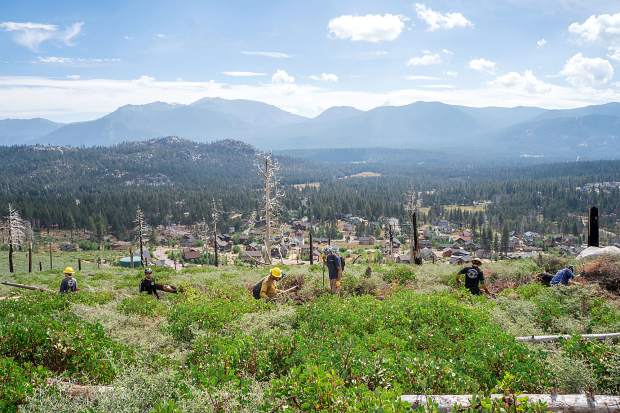 EpicPromise lends a helping hand for local community issues | SierraSun.com