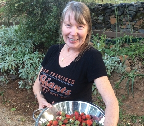 Mary Fox | SierraSun.com