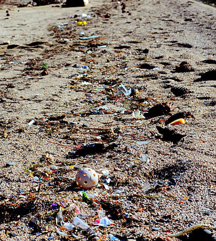 Mitigating microplastics: What types of plastics are getting into Lake ...