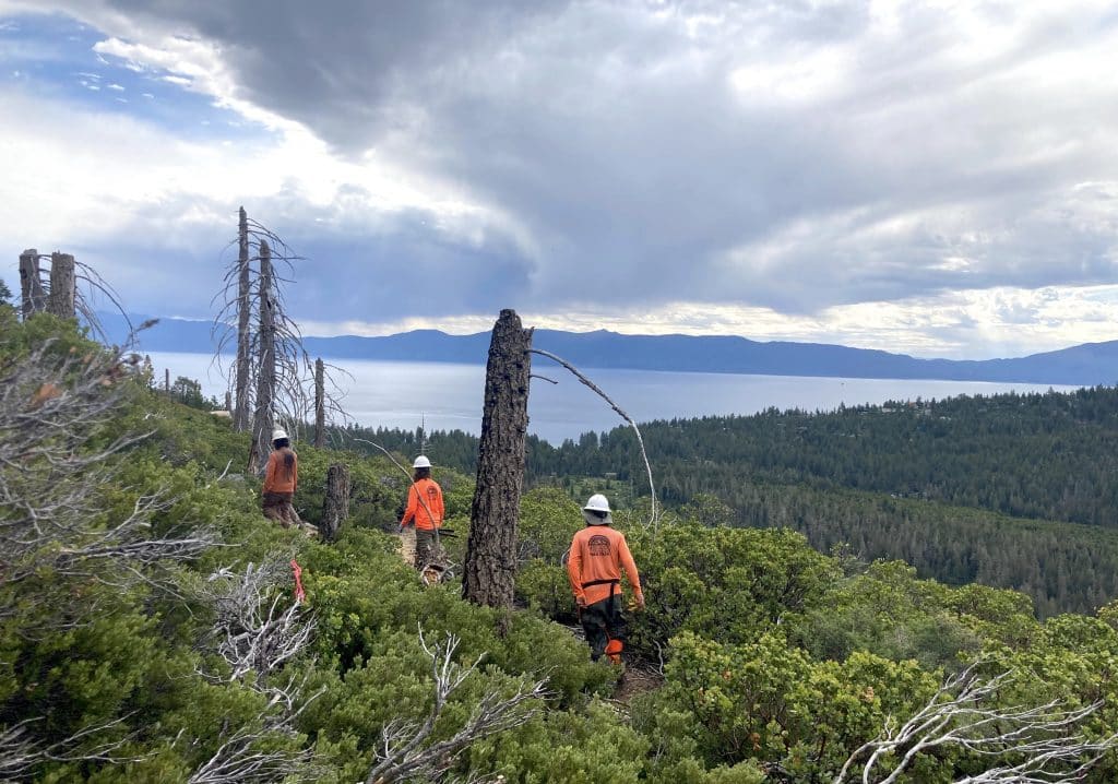 $50,000 campaign launched for Meeks Ridge Trail | SierraSun.com