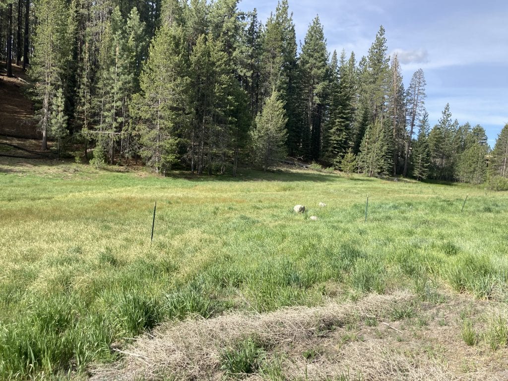 History: Dairy industry In Truckee | SierraSun.com