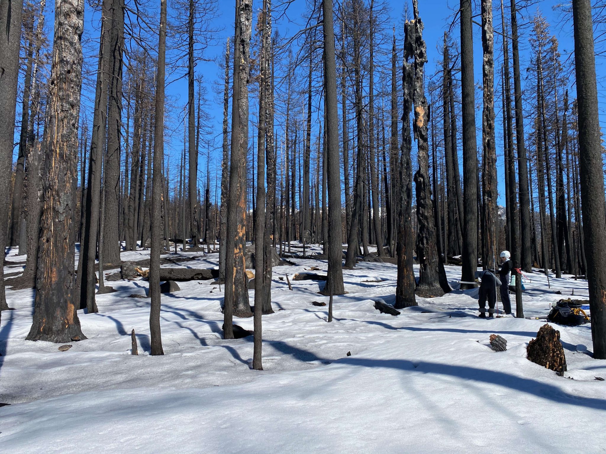 Fires increase rate of snowmelt: Dr. Anne Nolin has been studying the ...