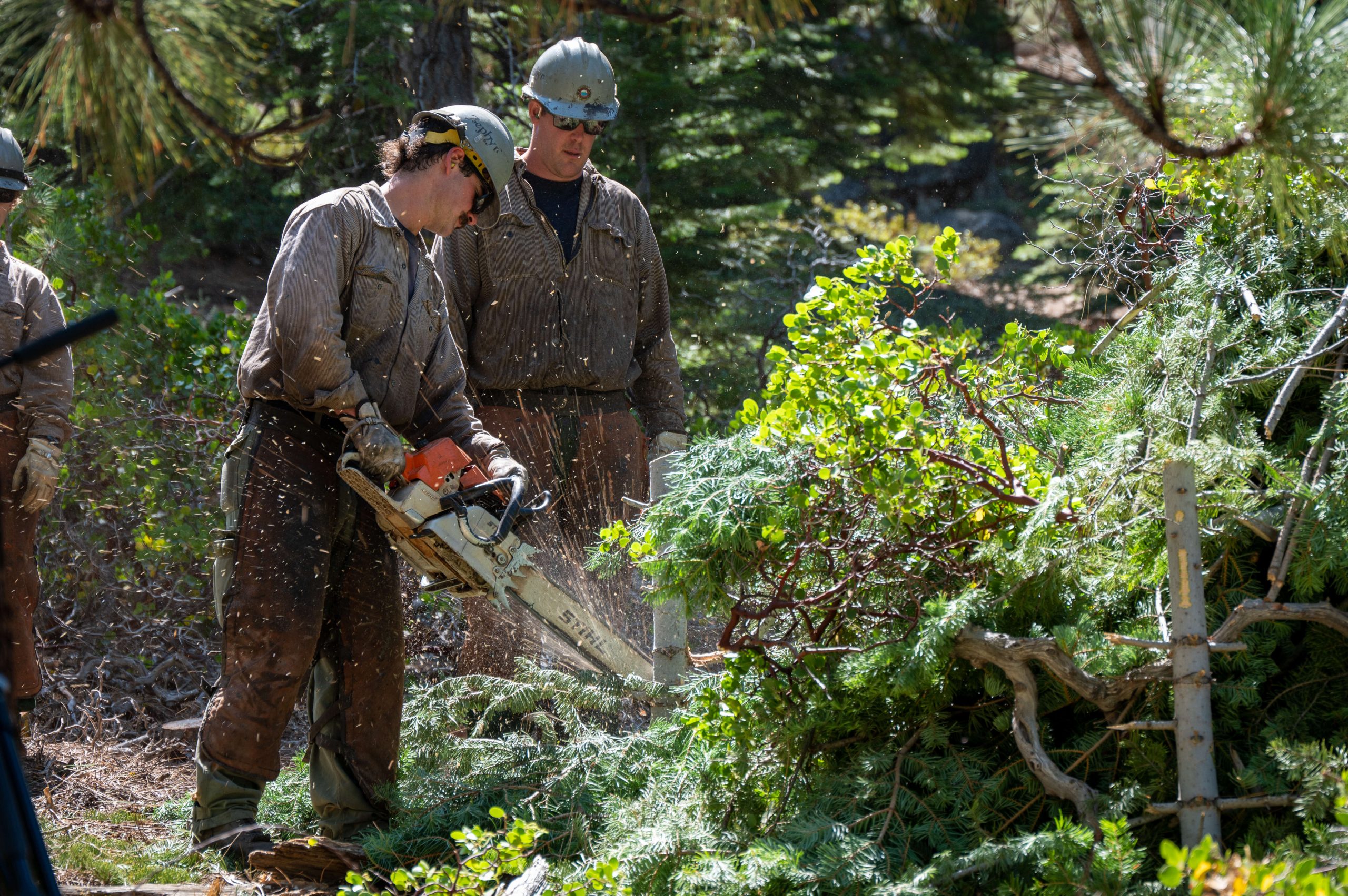 Tahoe fire agencies working to burn hazardous fuels around basin ...