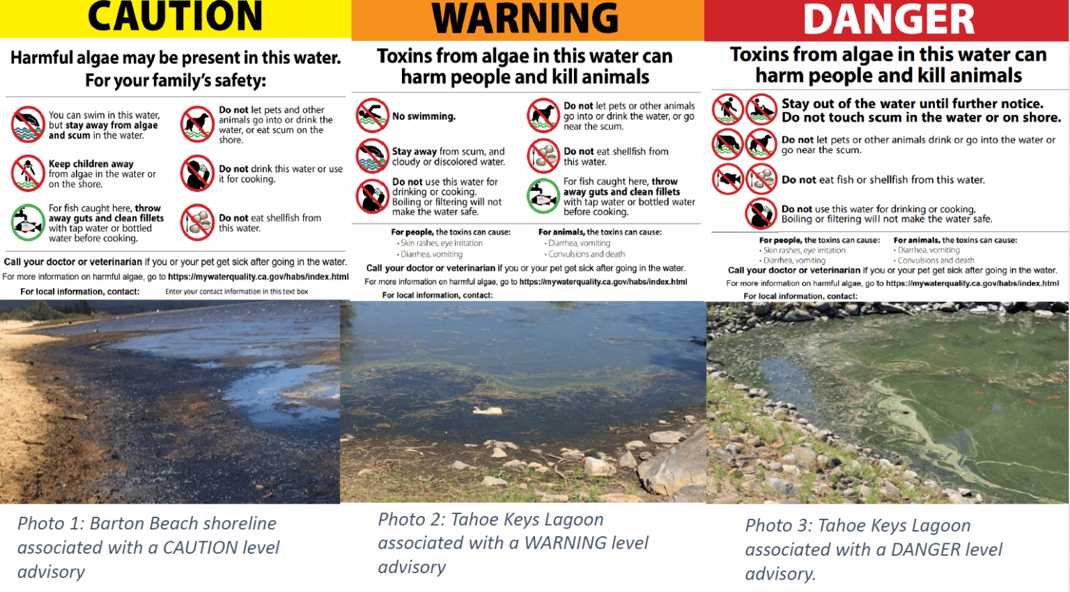 Algae signs at Tahoe beaches – what they mean, what you should know ...