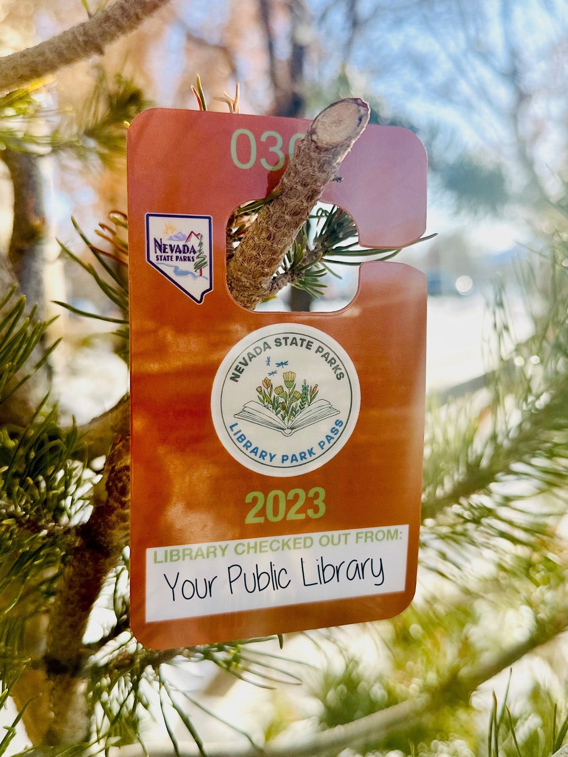 Library Park Pass Program gives access to Sand Harbor, other Nevada ...