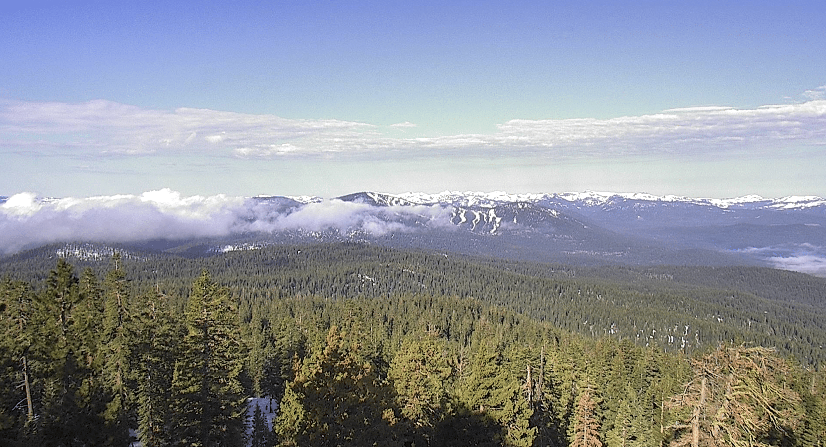 Thunderstorm, shower chances remain in Truckee-Tahoe forecast ...