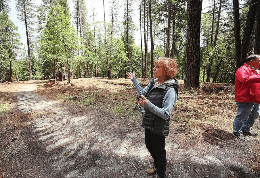 Ahead of the flames: NV County Firewise communities to gather June 3 ...