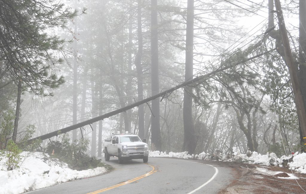 Caltrans initiates emergency tree removal operations in storm-damaged ...