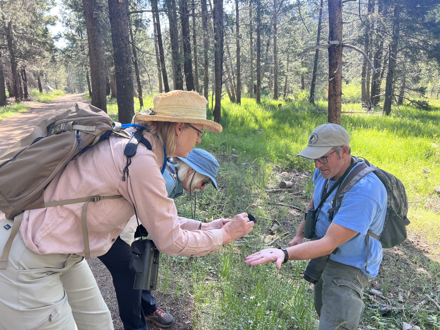Bioblitz brings education and fun together for volunteers from all over ...
