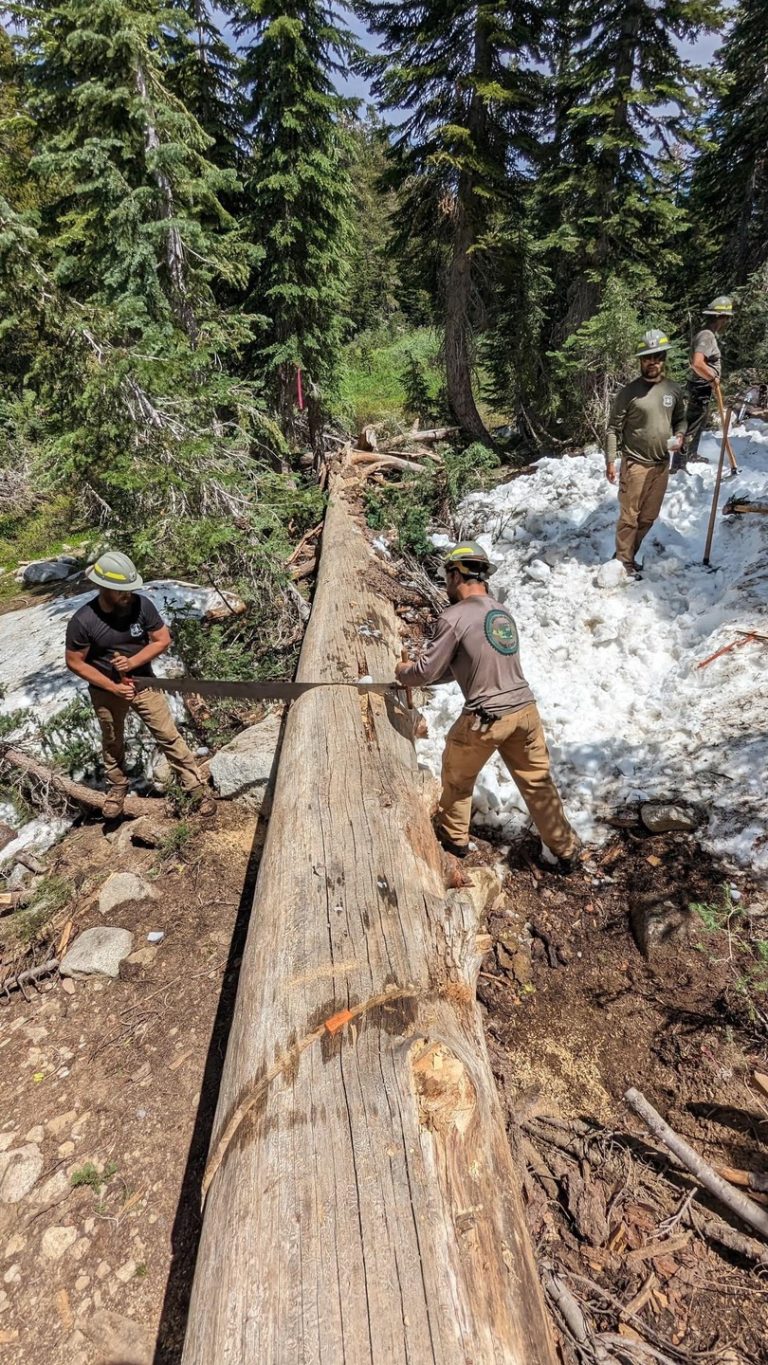 Forest Service begins Granite Chief Wilderness reroute project ...